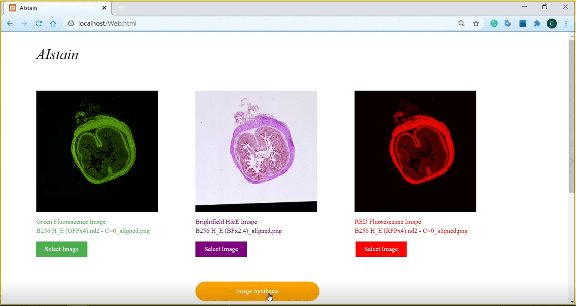 AIstain: Virtual Immunostaining for Veterinary Pathology - Innovation ...